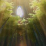 Dr. Mary Neal | Life Beyond Death